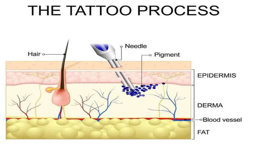 How Deep Should The Tattoo Needle Penetrate And Avoid Ink Spit ...